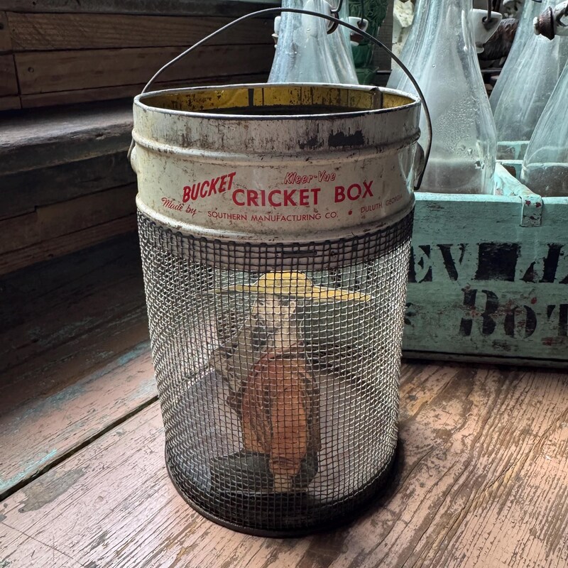 Minnow Bucket - Etsy