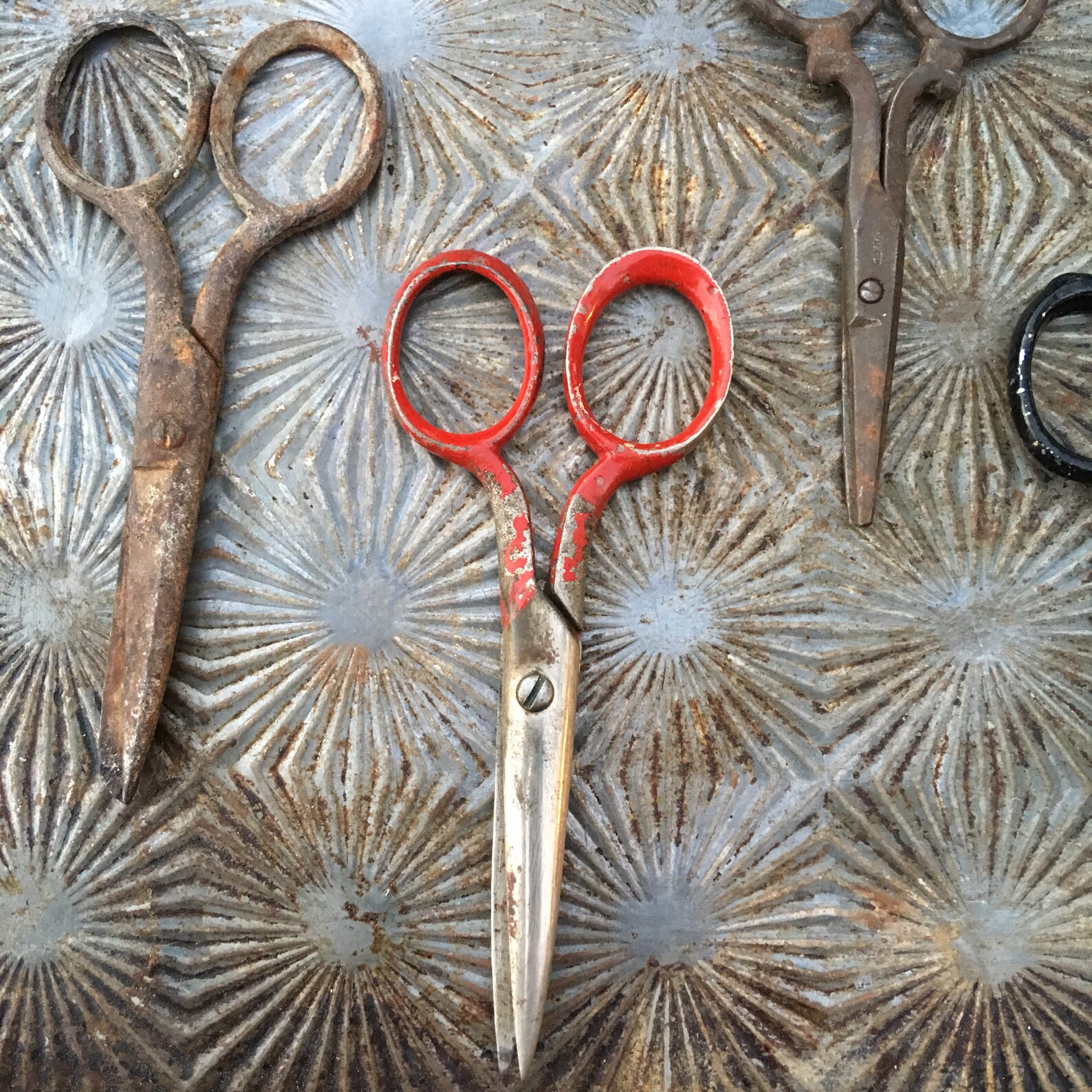 4 Inches of Wow the Evolution of Antique & Vintage Scissors | Etsy