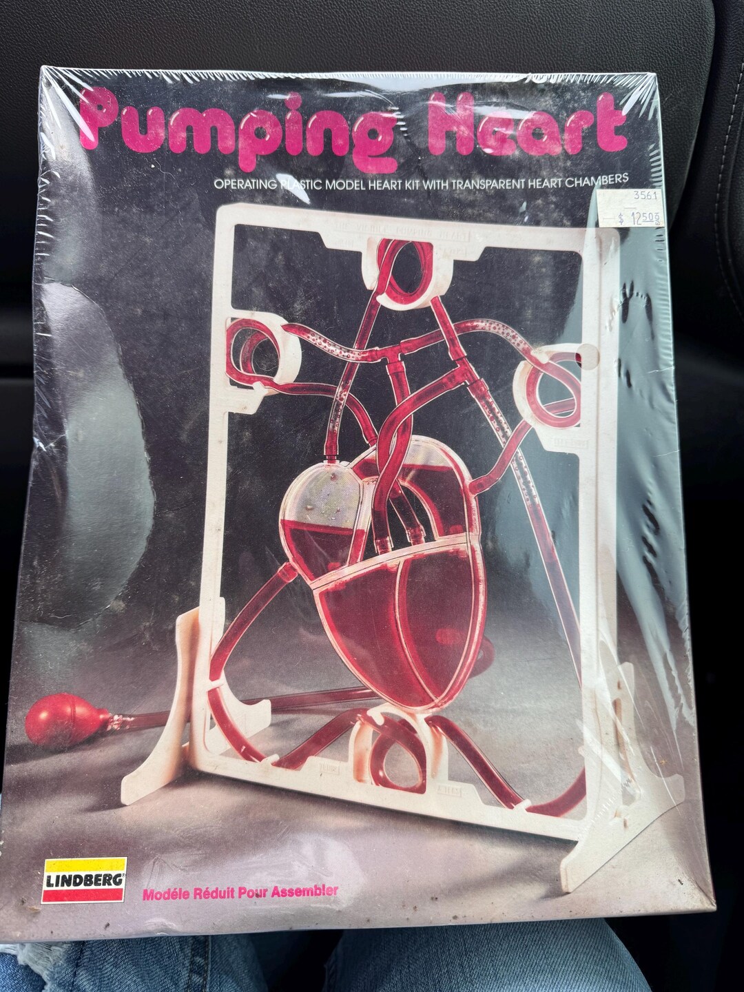 Has Never Seen the Light of Day NOS Lindberg Pumping Heart Model - Etsy