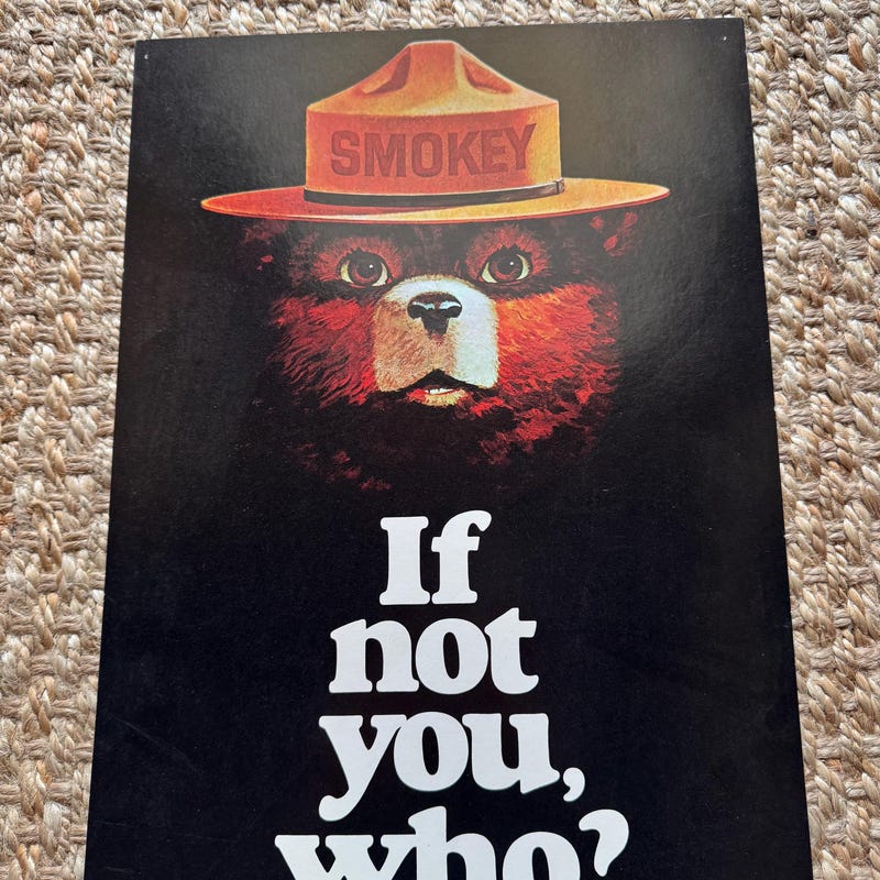 Smokey Bear Poster - Etsy