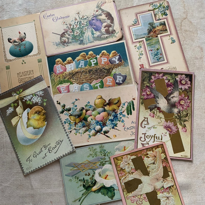 Rabbit Postcard - Etsy