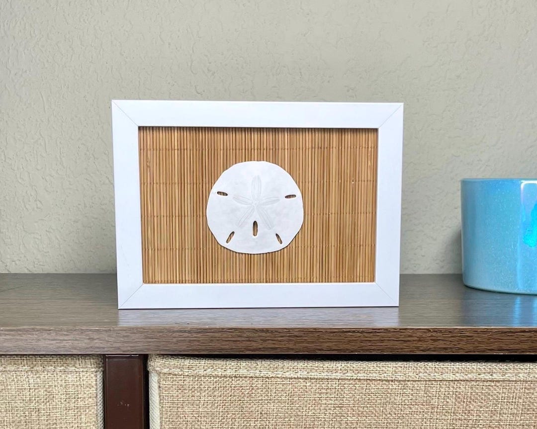 Sand Dollar Picture Frame – Handmade Coastal Décor 4x6 - Etsy