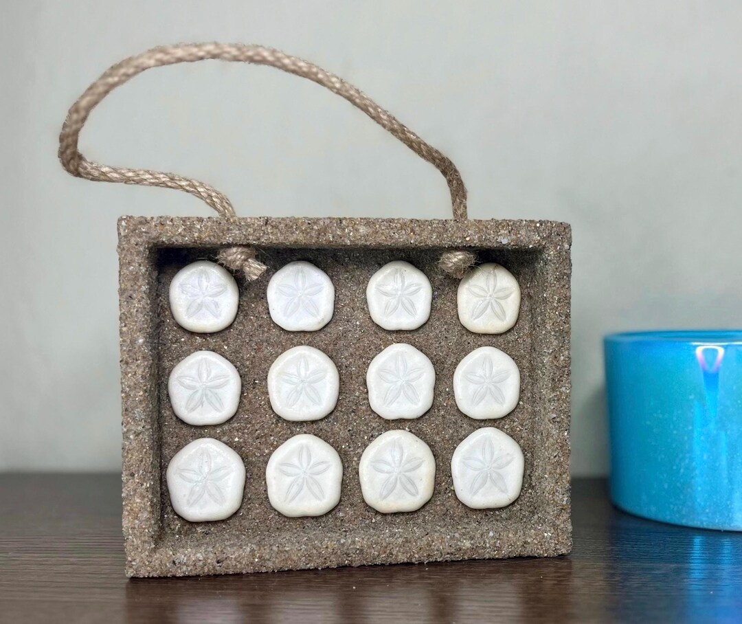 Mini Sea Biscuit Shadow Box – Handmade Coastal Decor 5x6in - Etsy