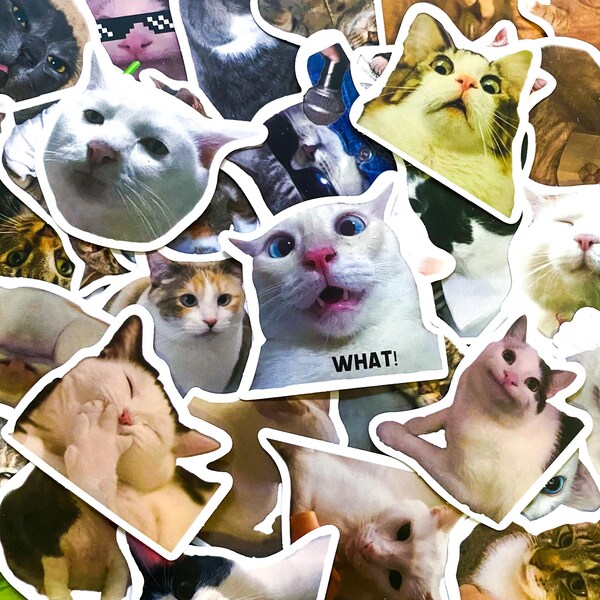 Gatos stickers - Etsy México