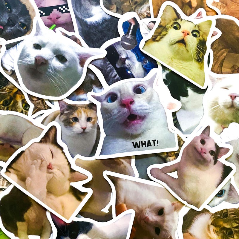 Katzen sticker - Etsy.de