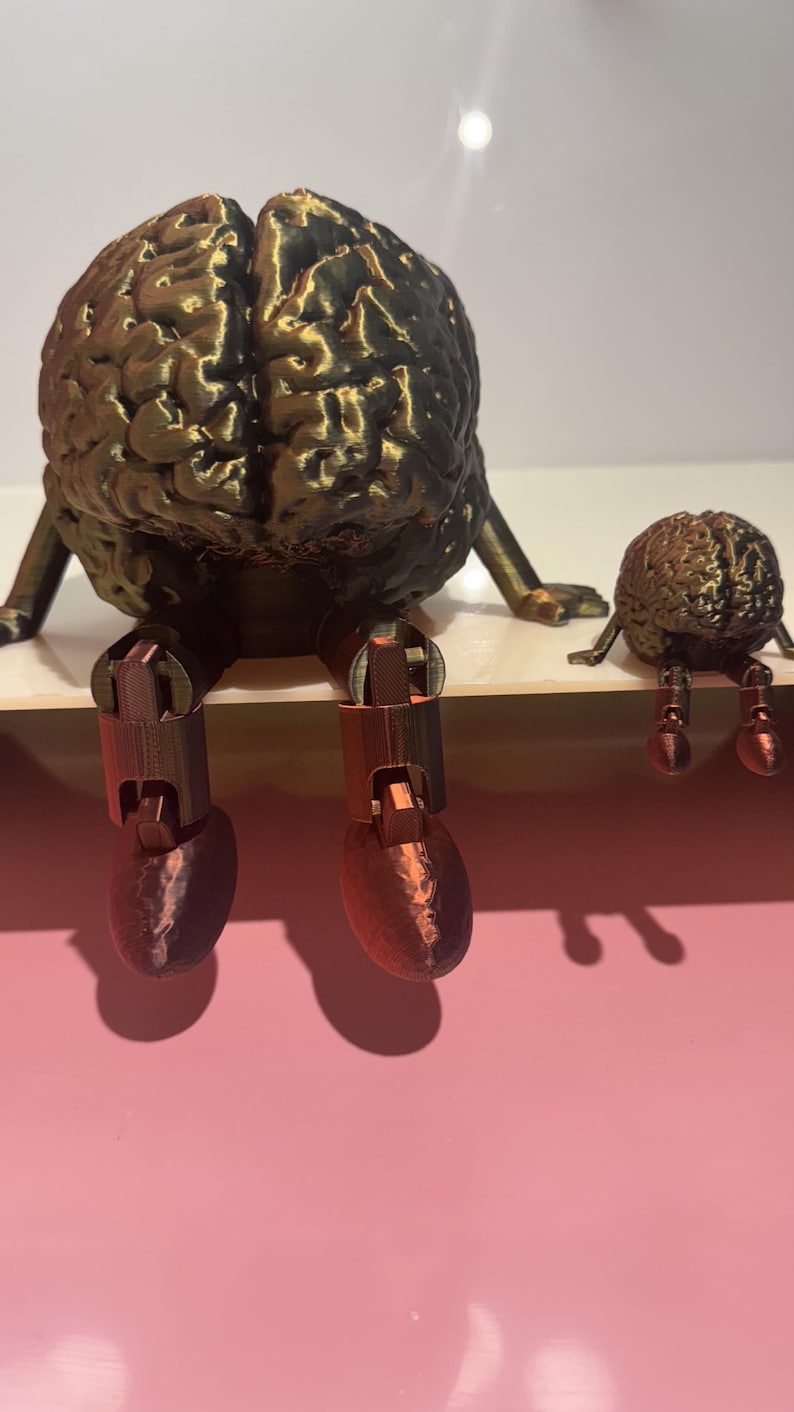 3D Printed Brain - Etsy