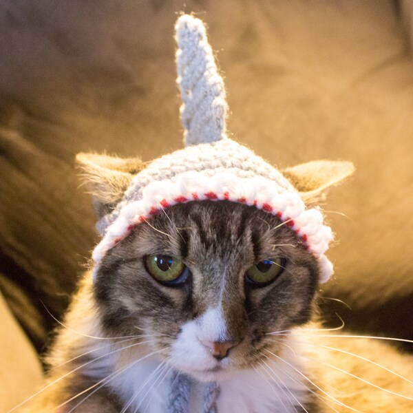 Cat Shark Hat - Etsy