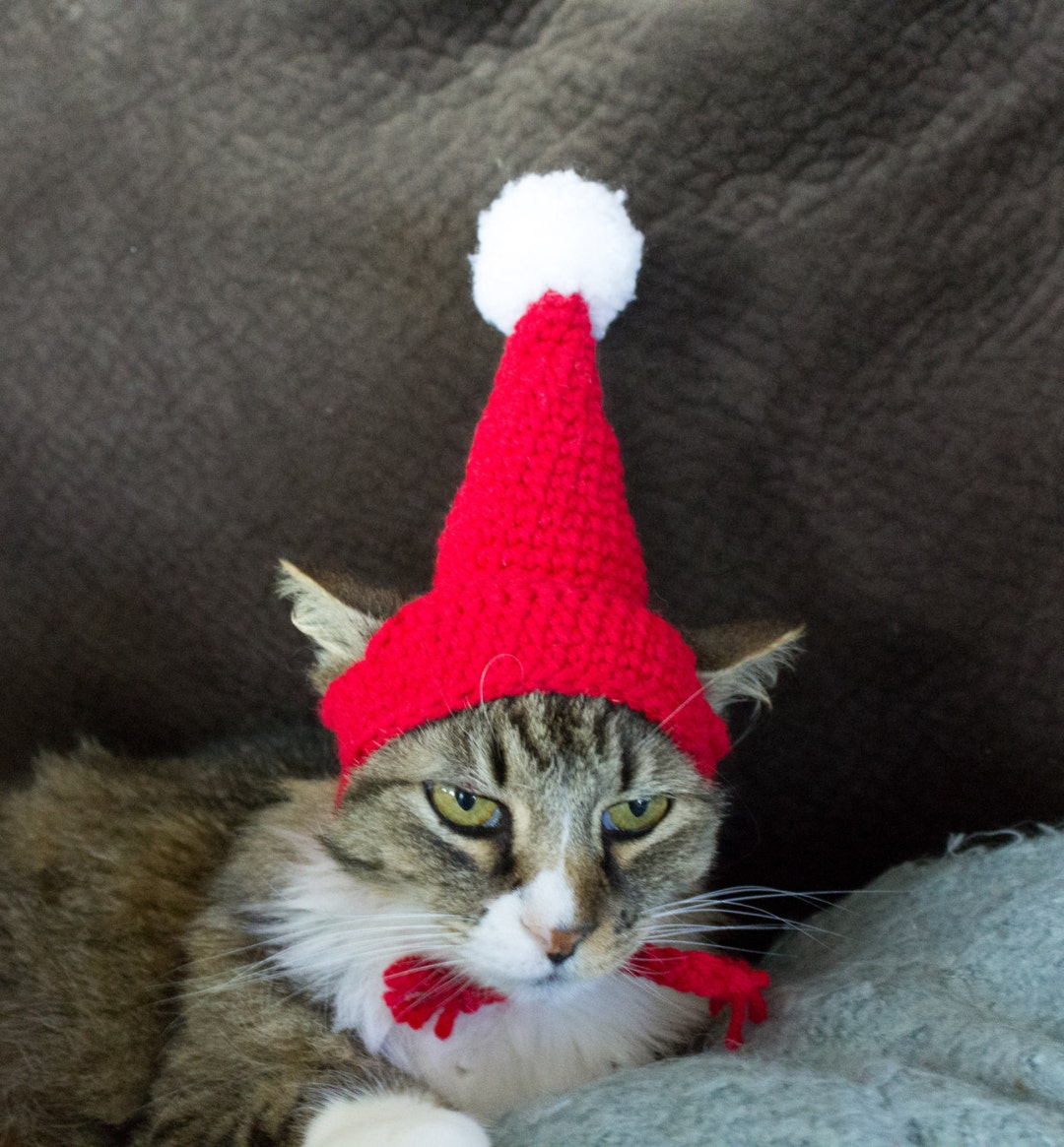 Santa Hat for Pet, Ready to Ship, Crochet Christmas Costume, Cat Hat ...