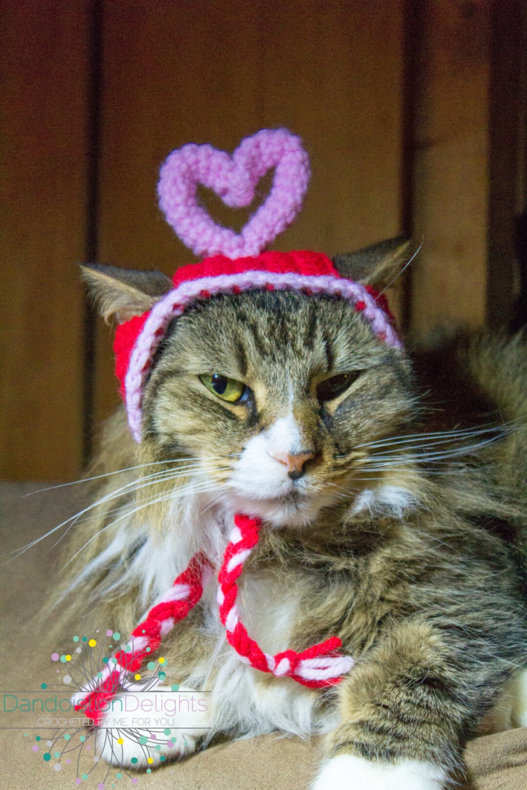 Valentine's Heart Hat Crochet Hat for Your Pet -- Cat, Small Dog, or ...