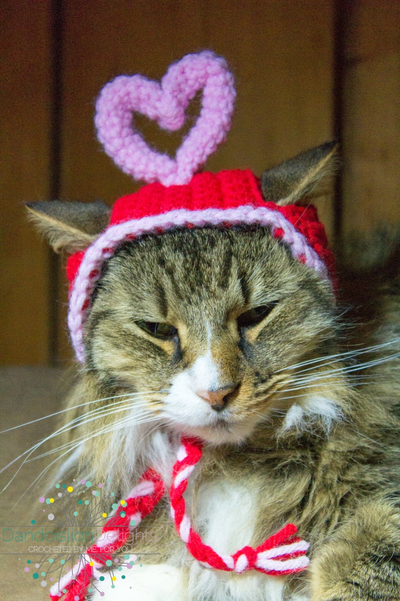 Valentine's Heart Hat Crochet Hat for Your Pet Cat - Etsy