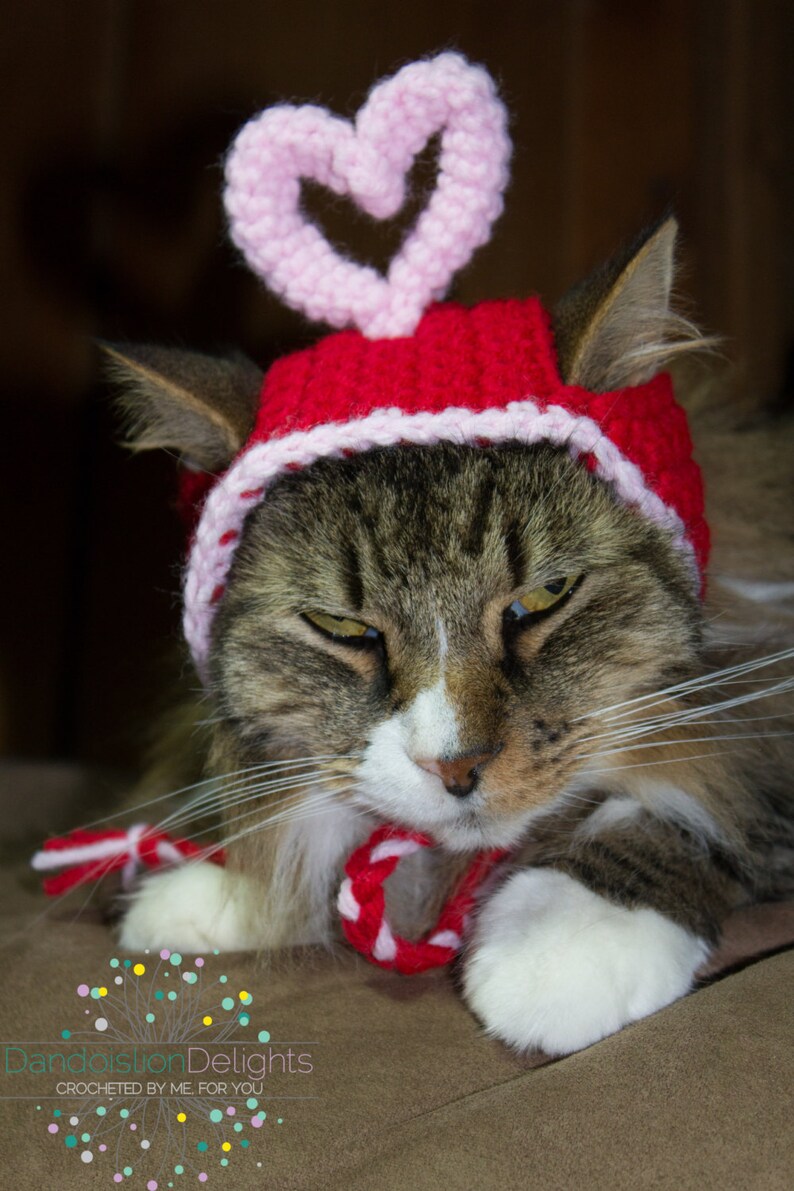 Valentine's Heart Hat Crochet Hat for Your Pet Cat - Etsy