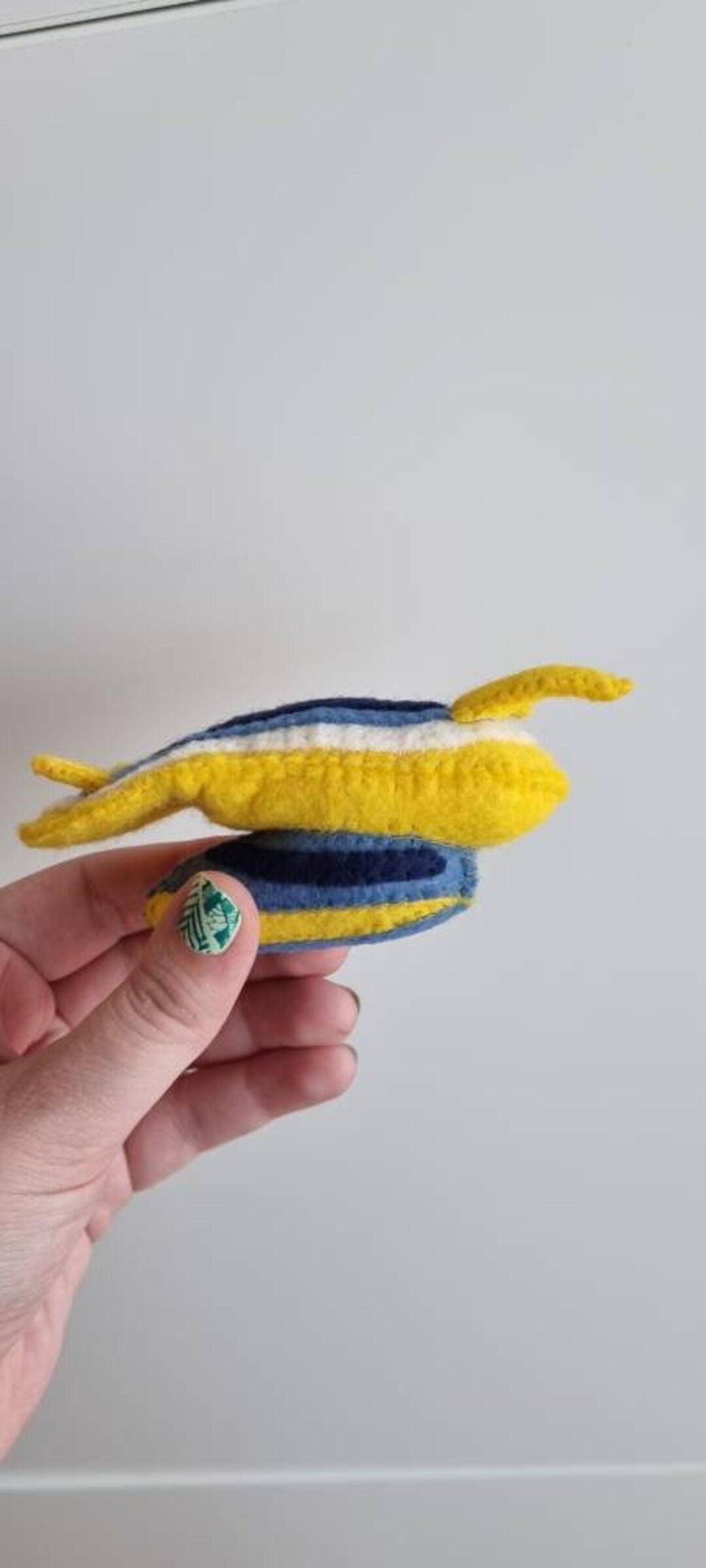 Felt Sea Slug Sea Bunny Nudibranch - Etsy