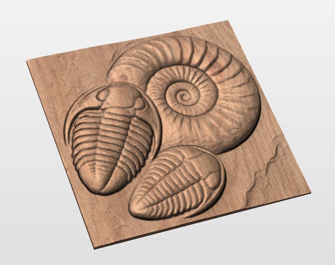 Fossil Panel Relief With Ammonite and Trilobites – 3D STL Model for CNC ...