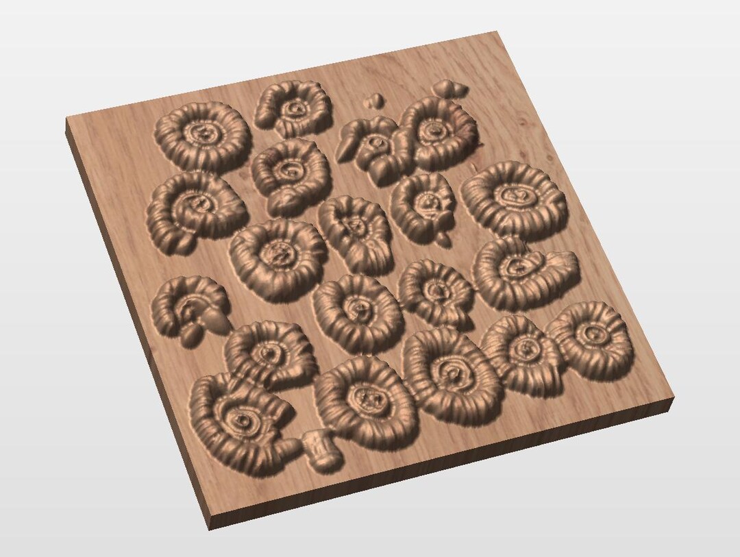 Ammonite Fossils Relief – 3D STL Model for CNC Carving, Prehistoric ...