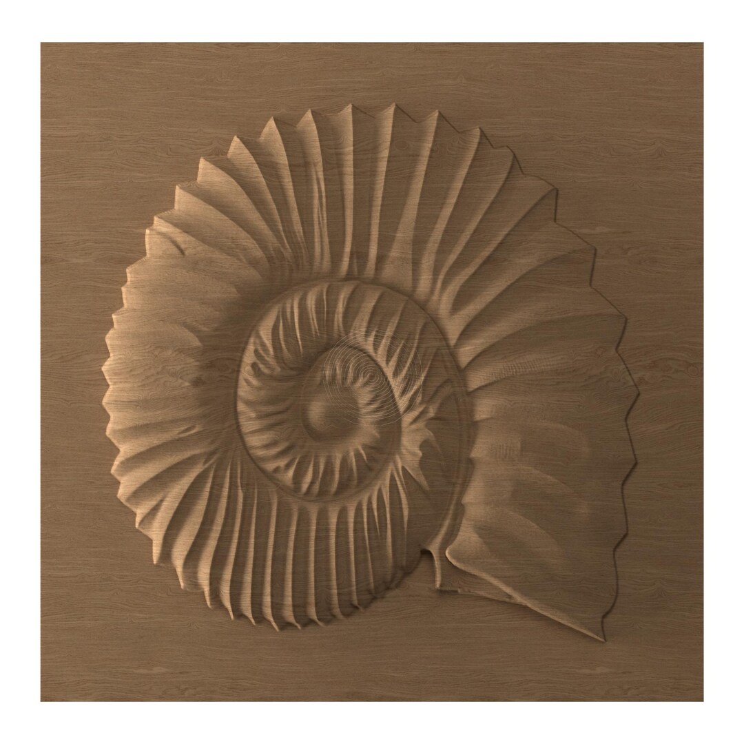 Ammonite Sculpture STL File CNC Carving and 3D Printing | Fossil Relief ...