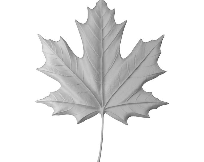3D Printable Realistic Maple Leaf STL File for CNC Router Engraving 3D ...