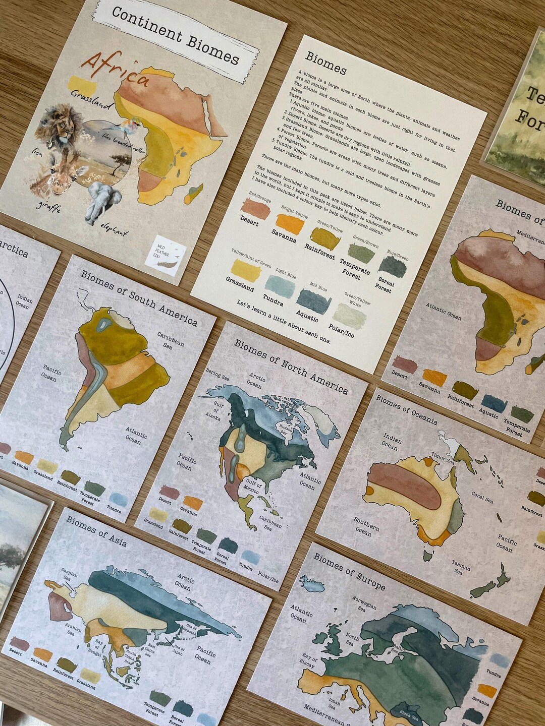 DIGITAL Continent Biomes Maps | Homeschool, Waldorf & Montessori ...