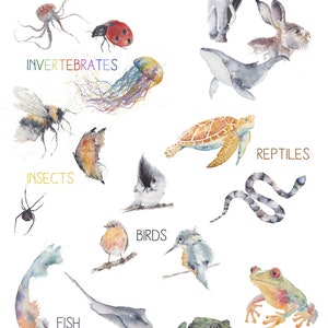 DIGITAL Animal Groups and Ocean Families Poster - Etsy