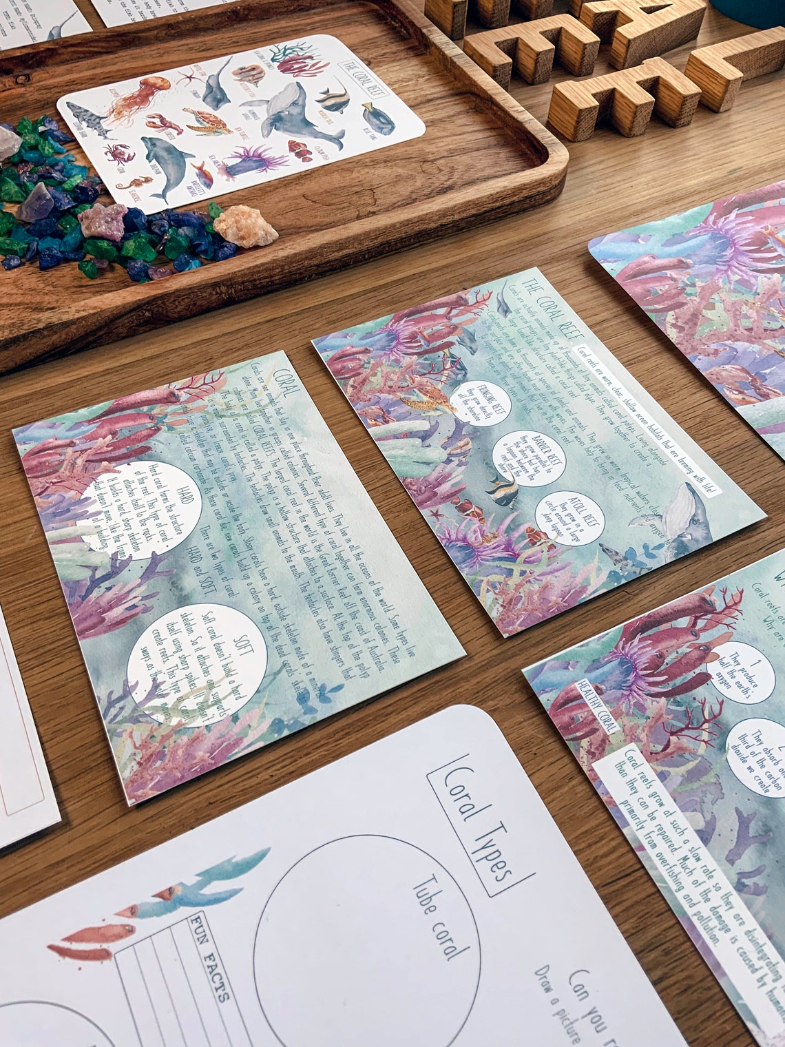 DIGITAL Coral Reef Educational Pack Coral Reef Worksheet - Etsy