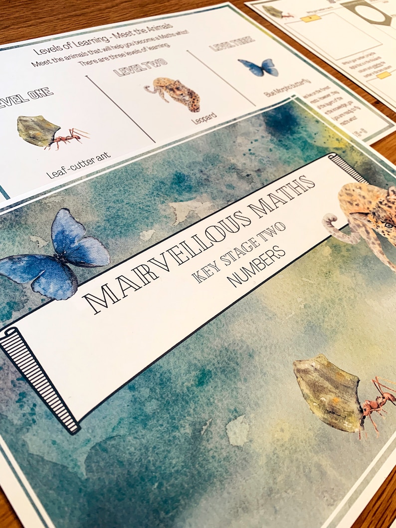 DIGITAL Maths Place Value Marvellous Maths Pack Homeschool - Etsy