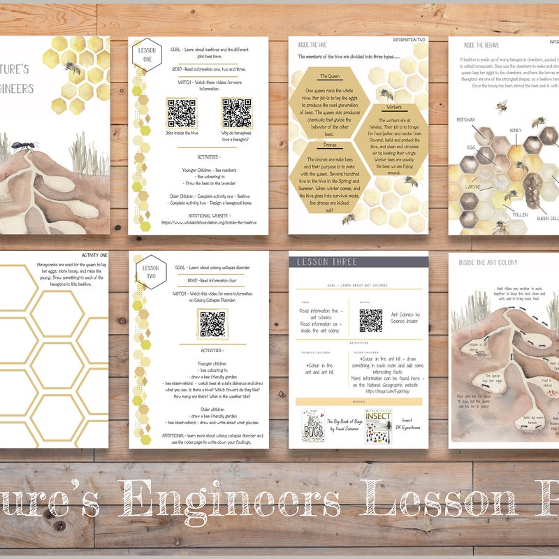 Bee Hive Plans - Etsy