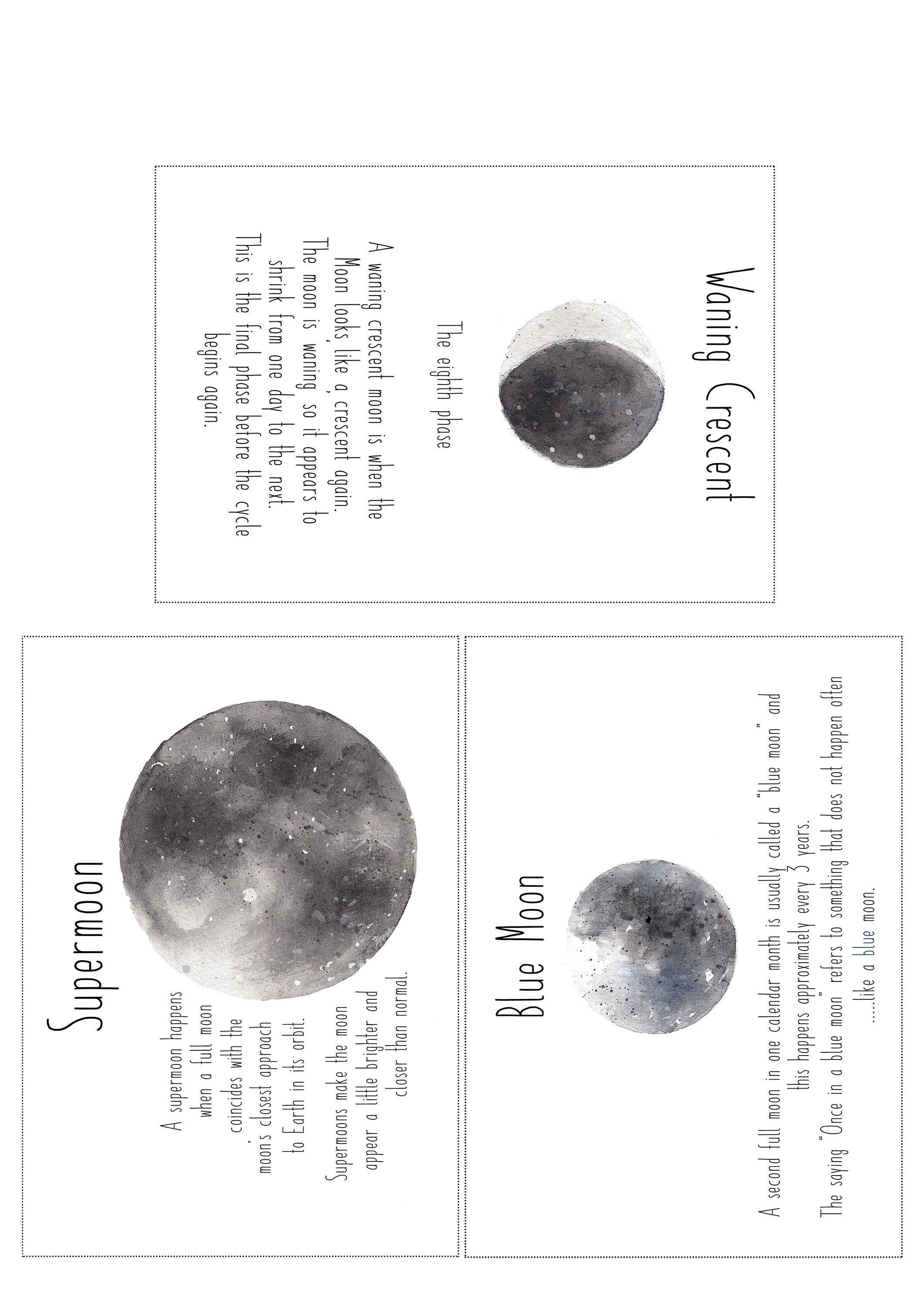 DIGITAL Moon Phases Educational Pack Montessori Materials | Etsy UK