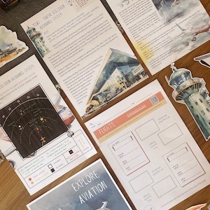 DIGITAL Aviation PLUS Birds Lesson Plan, Homeschool - Etsy UK