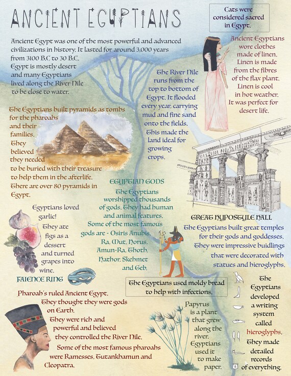 Infographic Poster History