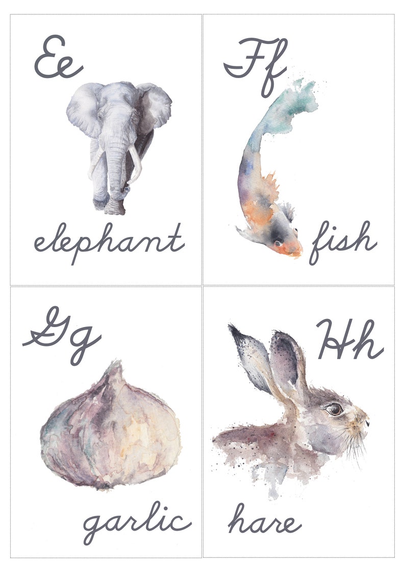 DIGITAL Cursive ABC Poster and Cards Montessori Materials - Etsy