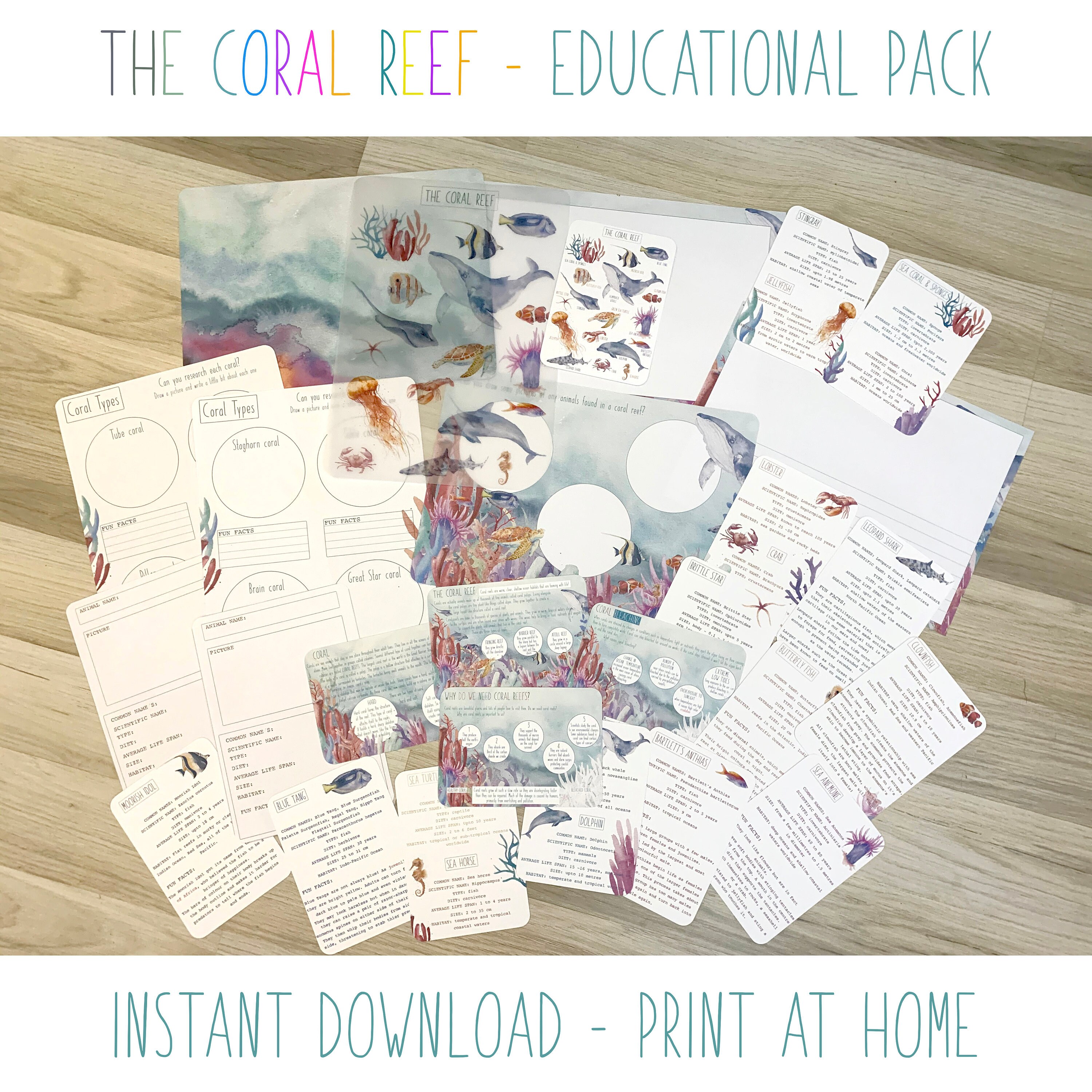 DIGITAL Coral Reef Educational Pack Coral Reef Worksheet | Etsy UK