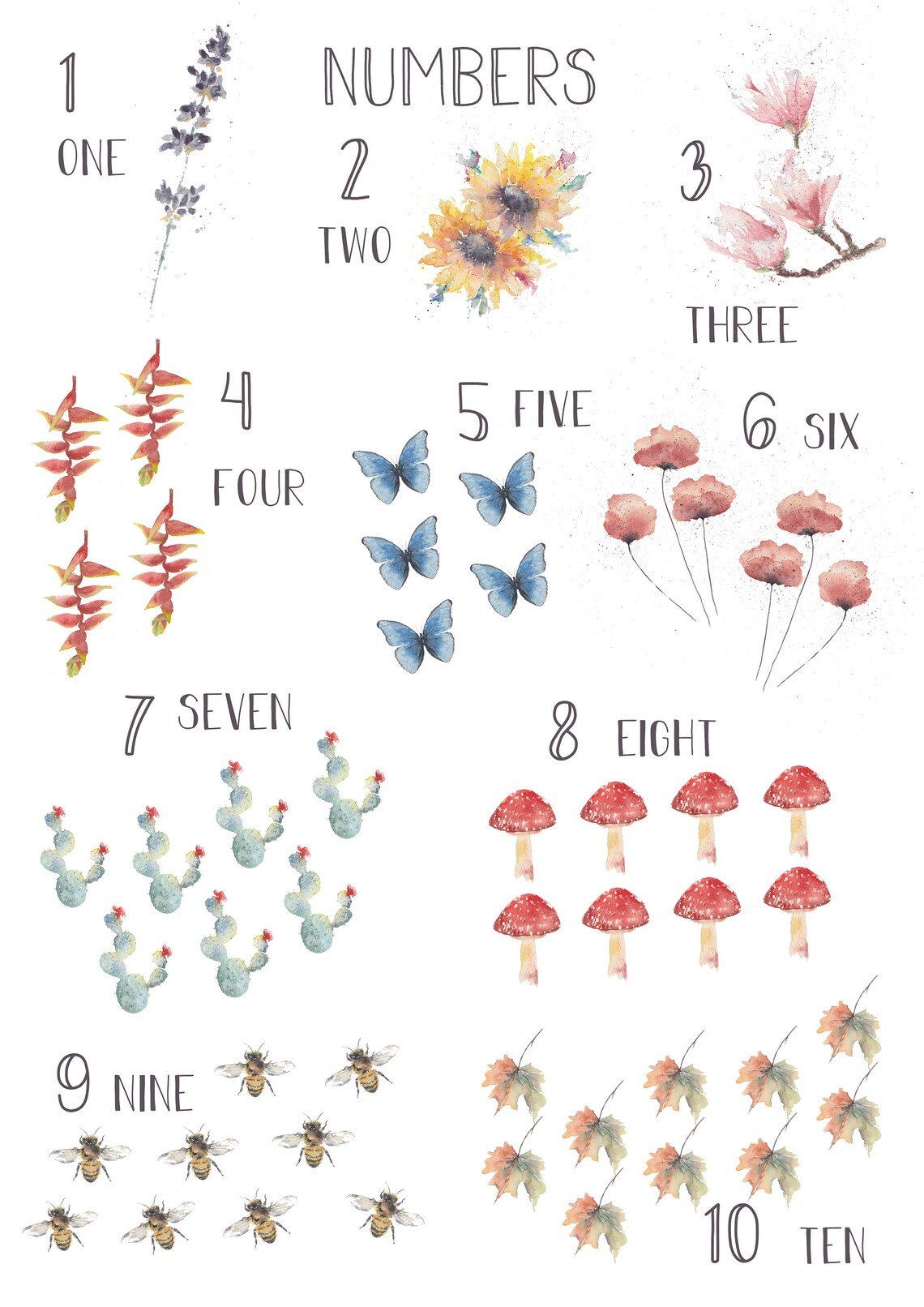 DIGITAL Botanical Numbers Poster and Tracing Cards Montessori - Etsy