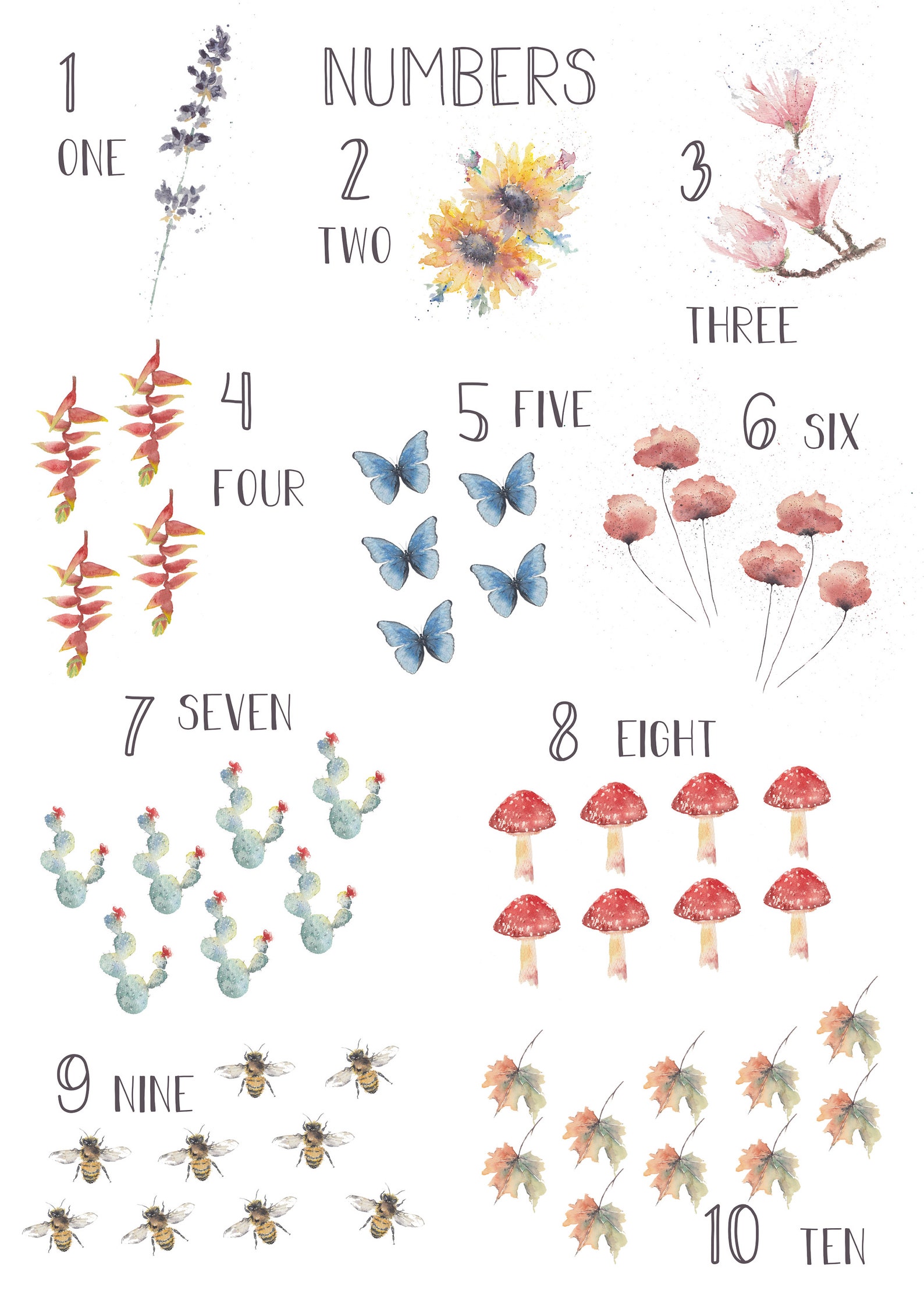 DIGITAL Botanical Numbers Poster and Tracing Cards Montessori - Etsy