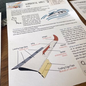 DIGITAL Aviation PLUS Birds Lesson Plan, Homeschool - Etsy UK