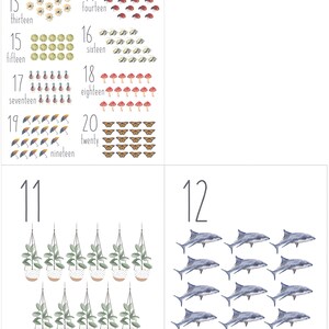 Numbers 11-20 Poster & Cards | Printable Learning Pack for Kids ...