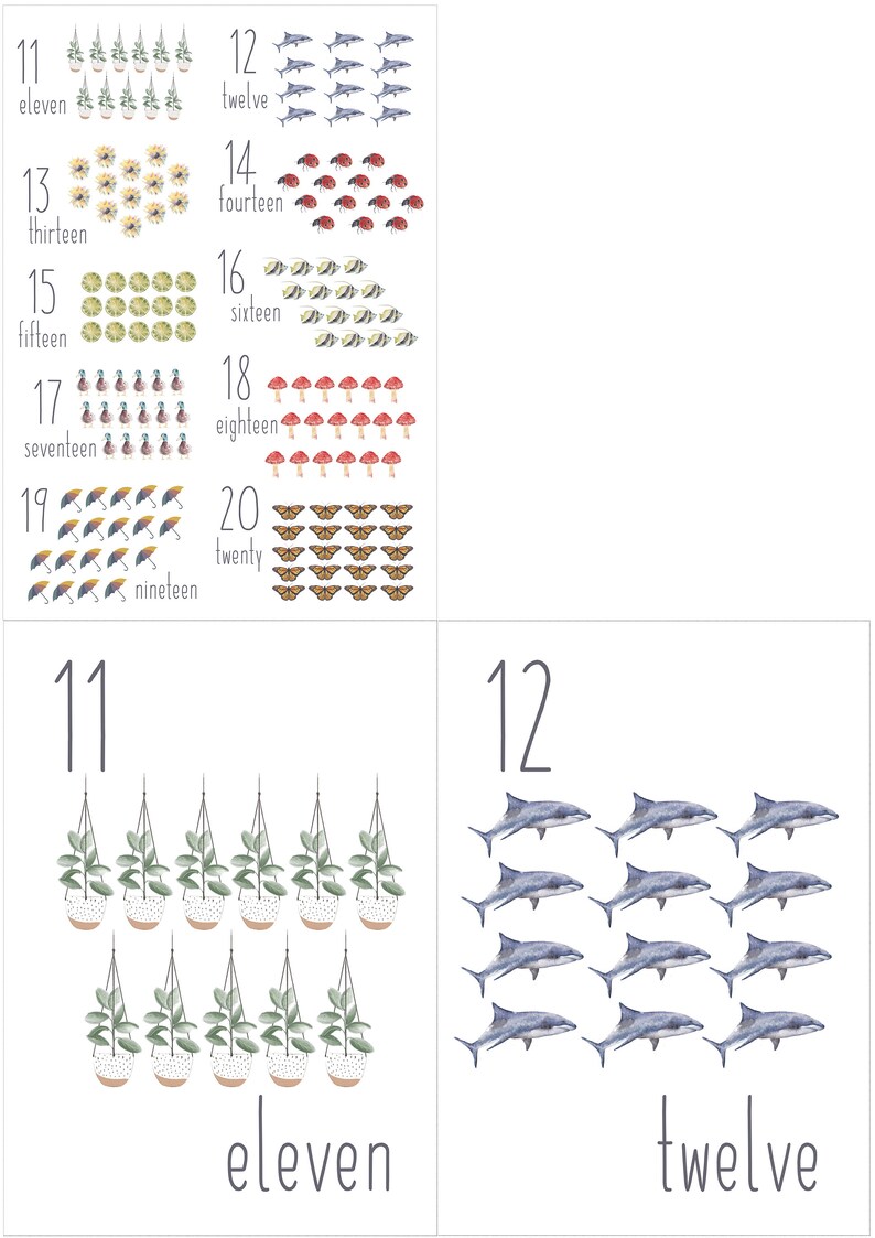Numbers 11-20 Poster & Cards | Printable Learning Pack for Kids ...
