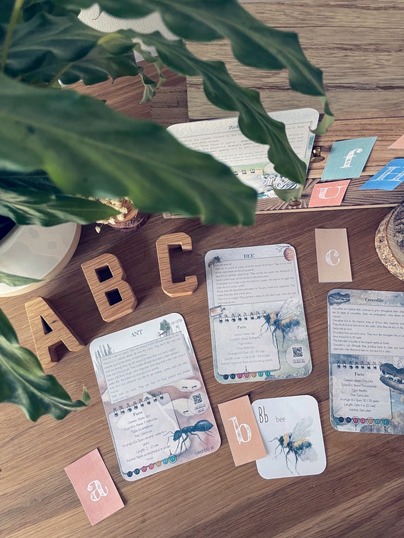 DIGITAL Animal Alphabet ABC Learning Set Animal Cards - Etsy