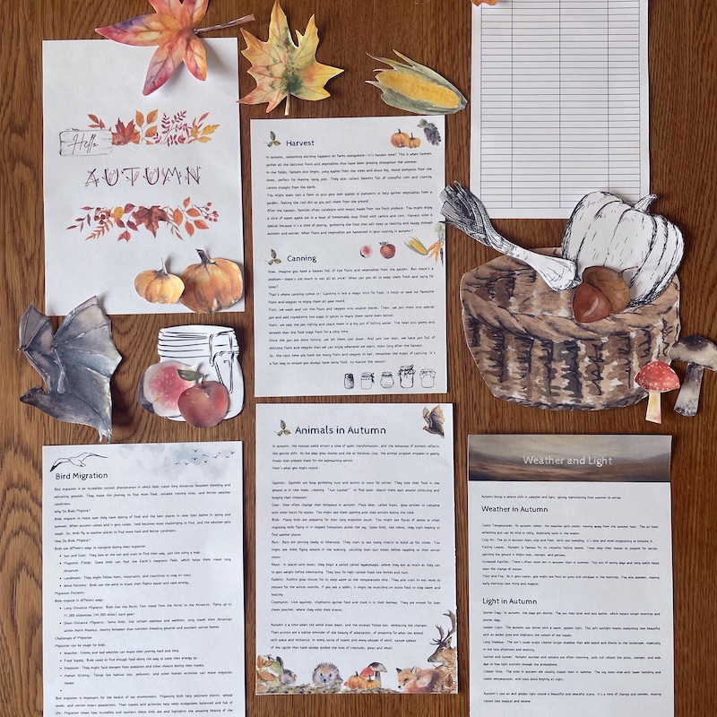 Autumn Weather Activities - Etsy