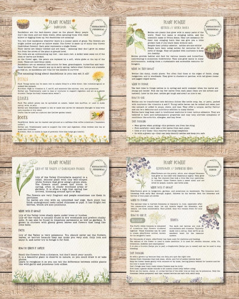 Digital Foraging Journal | Printable Foraging Log | Nature Exploration ...