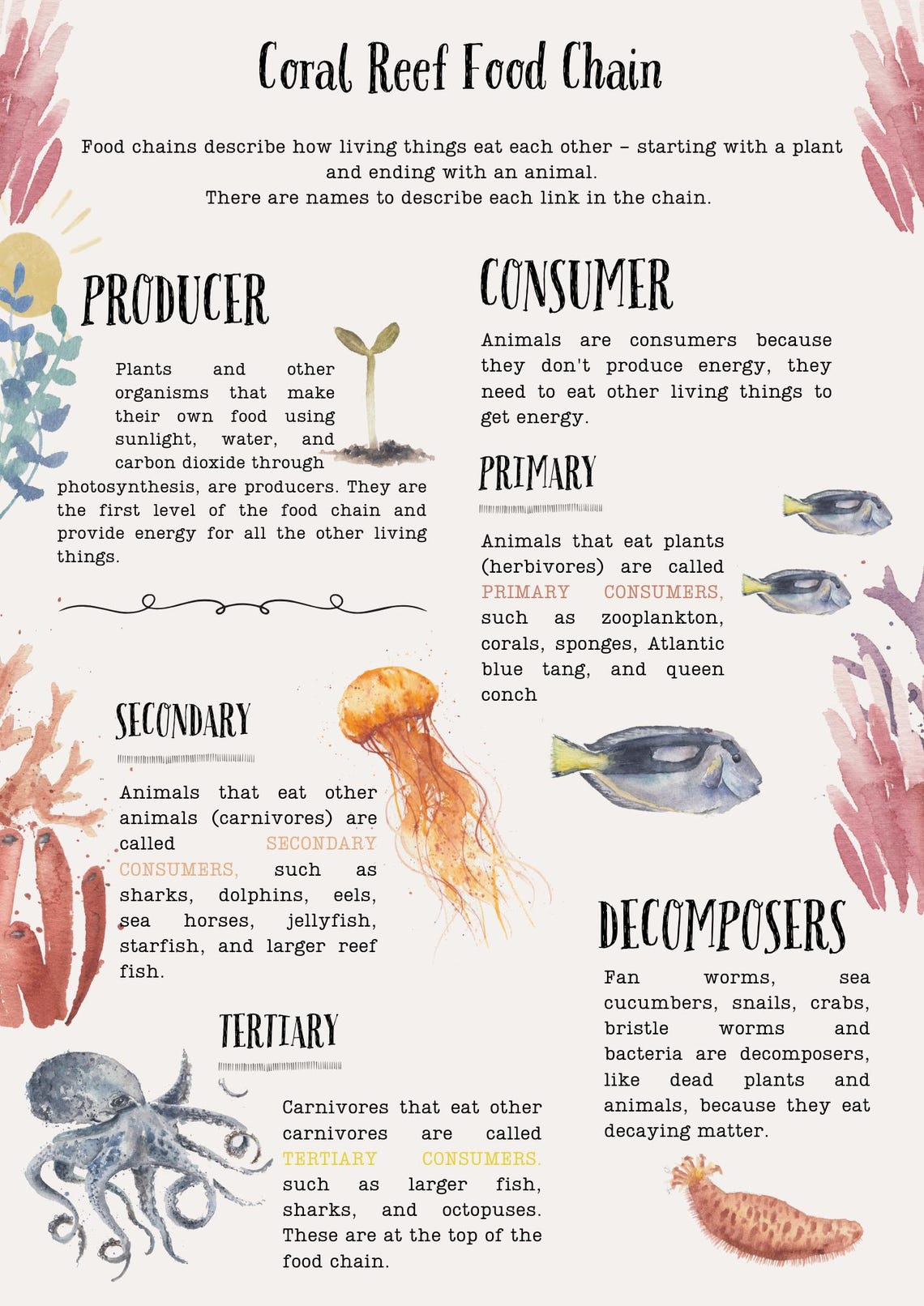 Digital Coral Reef Educational Pack | Printable Science Resource for ...