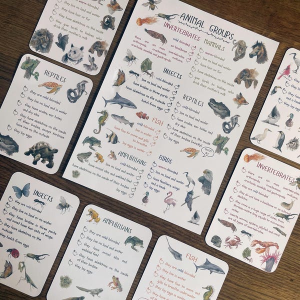 Endangered Animal Poster - Etsy UK