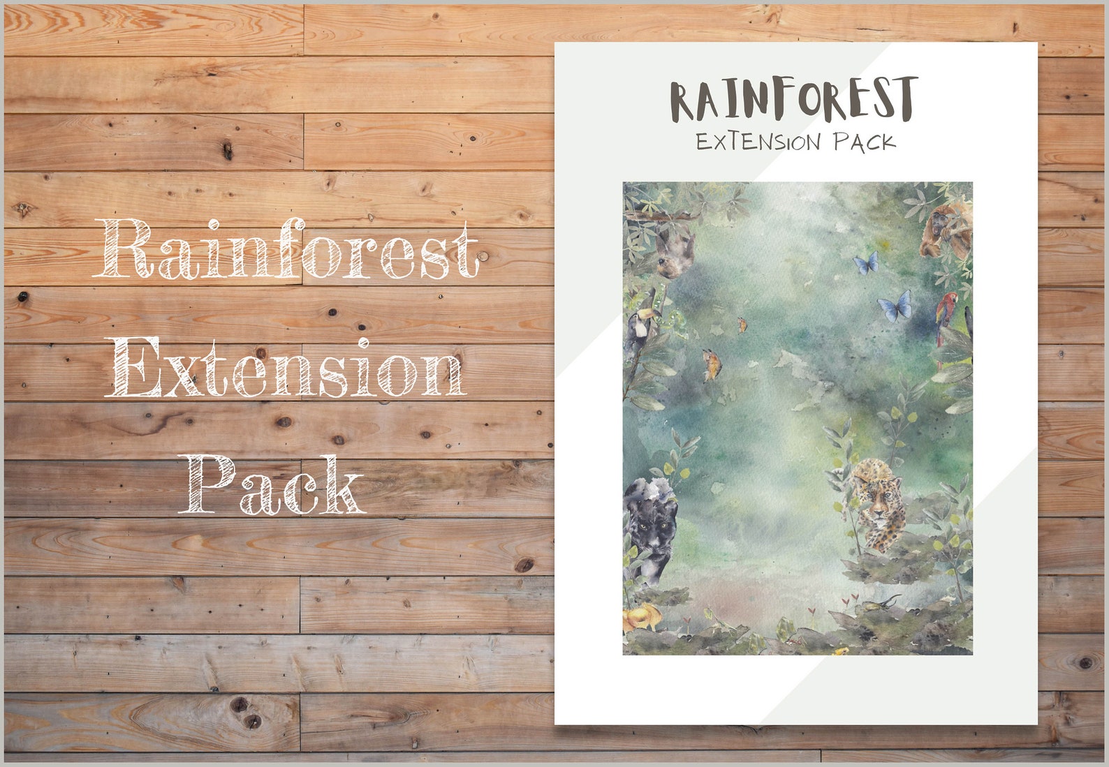 Digital Rainforest Extension Pack | 6 Lesson Plans & Worksheets ...