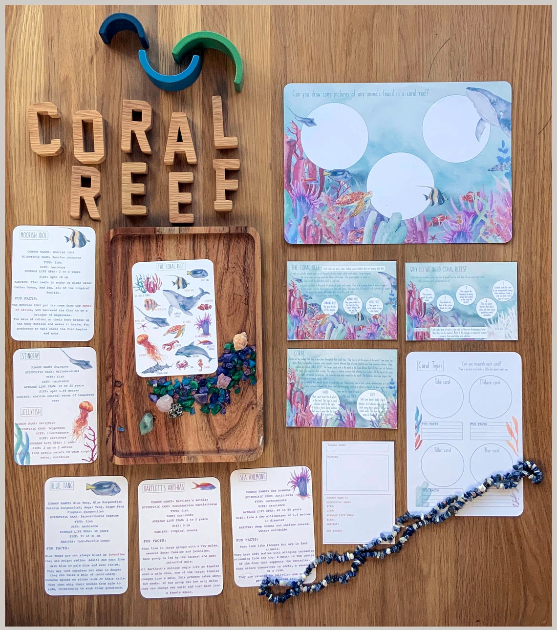 DIGITAL Coral Reef Educational Pack Coral Reef Worksheet - Etsy