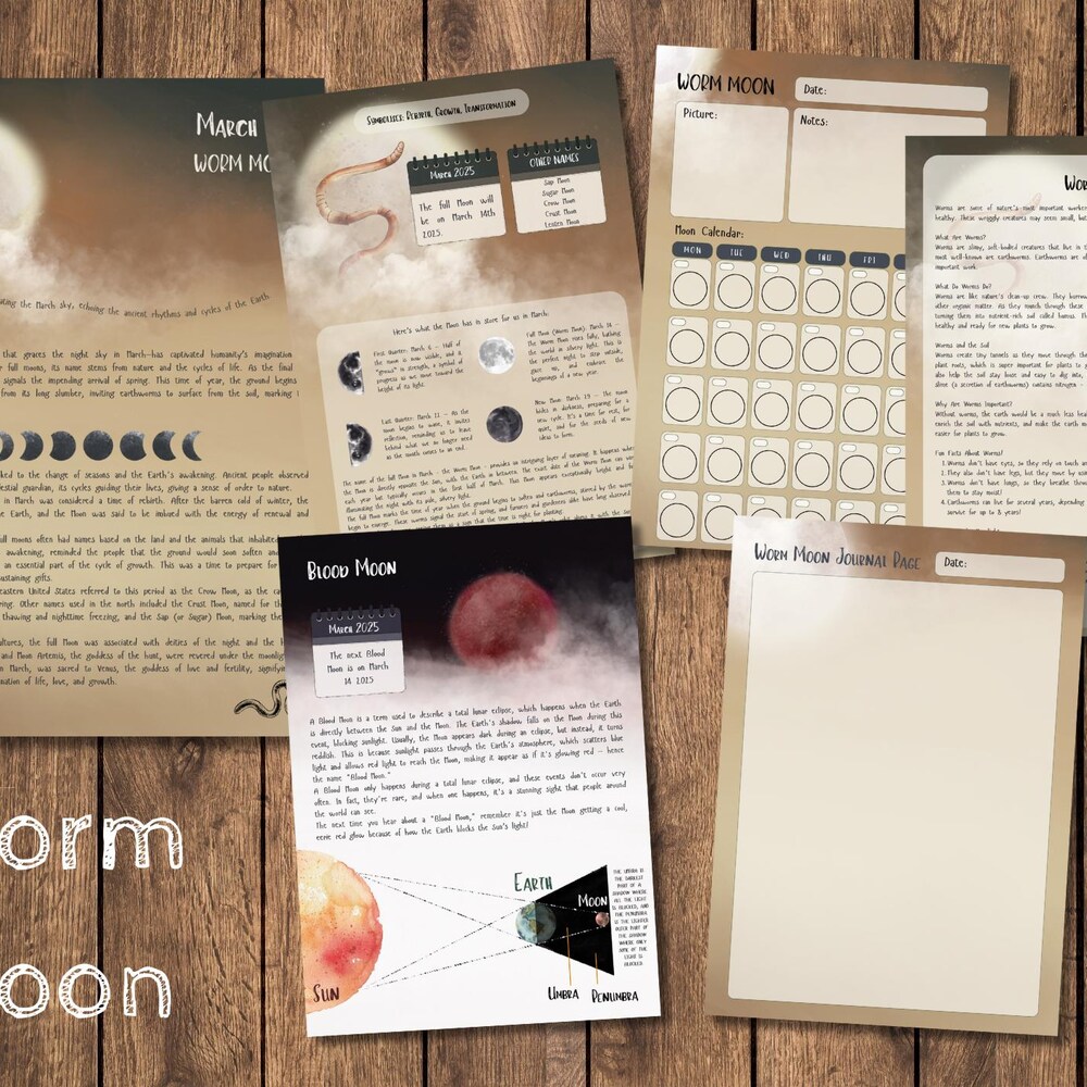 wildfeatheredu - Etsy