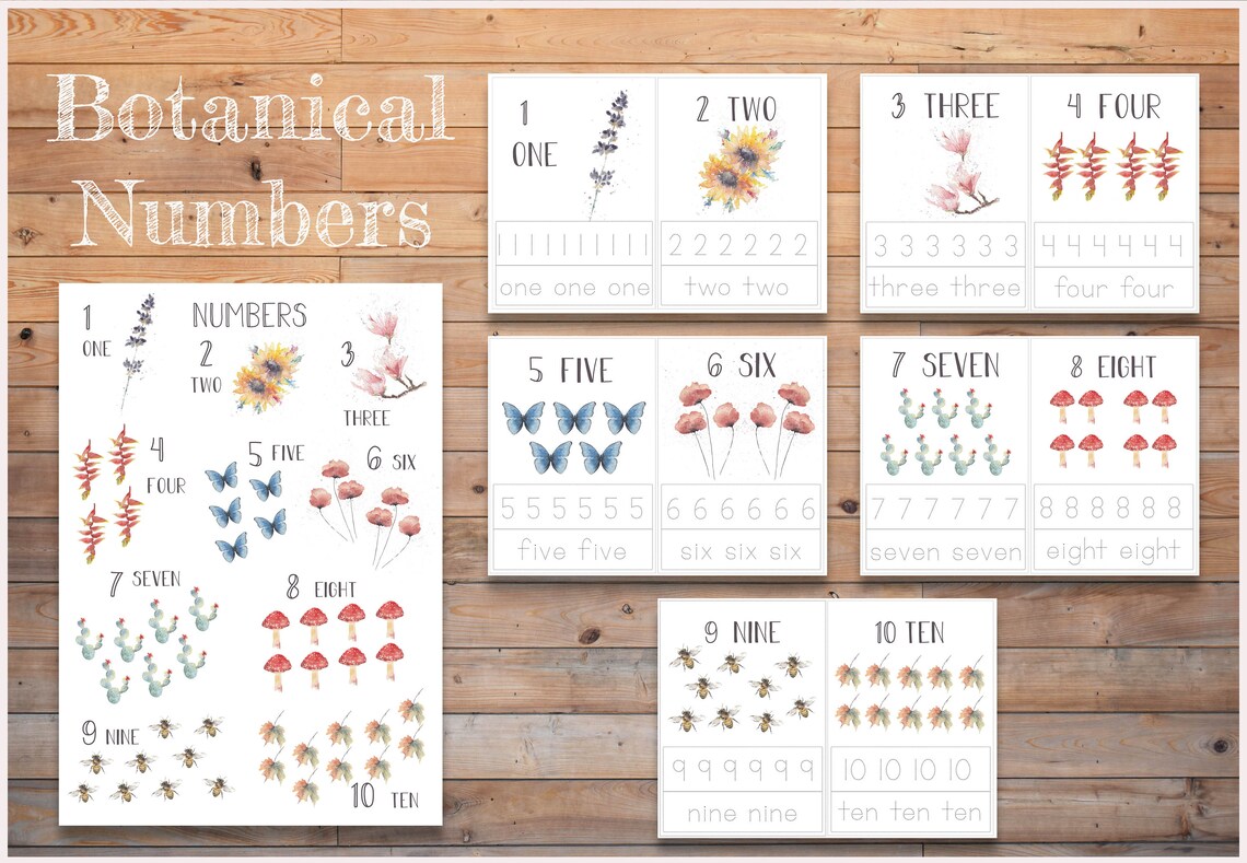 DIGITAL Botanical Numbers Poster and Tracing Cards Montessori - Etsy