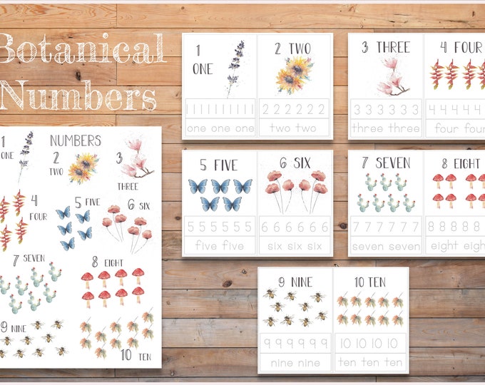 DIGITAL Botanical Numbers Poster and Tracing Cards Montessori - Etsy