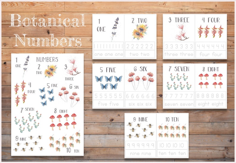 Digital Botanical Numbers Poster & Tracing Cards | Printable Math and ...