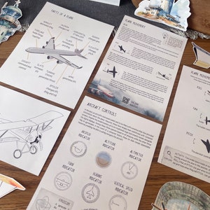 DIGITAL Aviation PLUS Birds Lesson Plan, Homeschool - Etsy UK