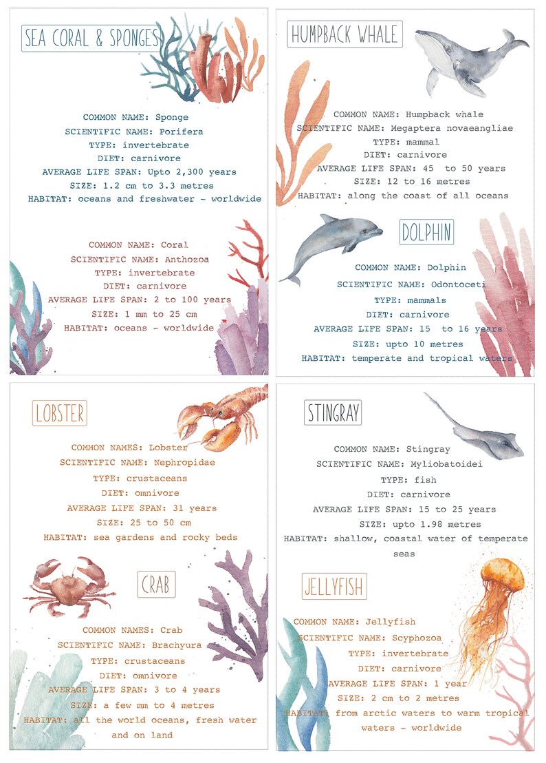 DIGITAL Coral Reef Educational Pack Coral Reef Worksheet | Etsy UK