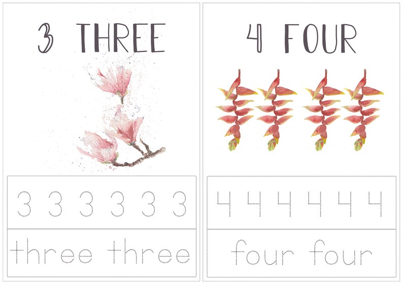 DIGITAL Botanical Numbers Poster and Tracing Cards Montessori - Etsy