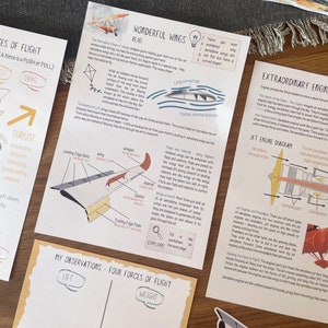 DIGITAL Aviation PLUS Birds Lesson Plan, Homeschool - Etsy UK